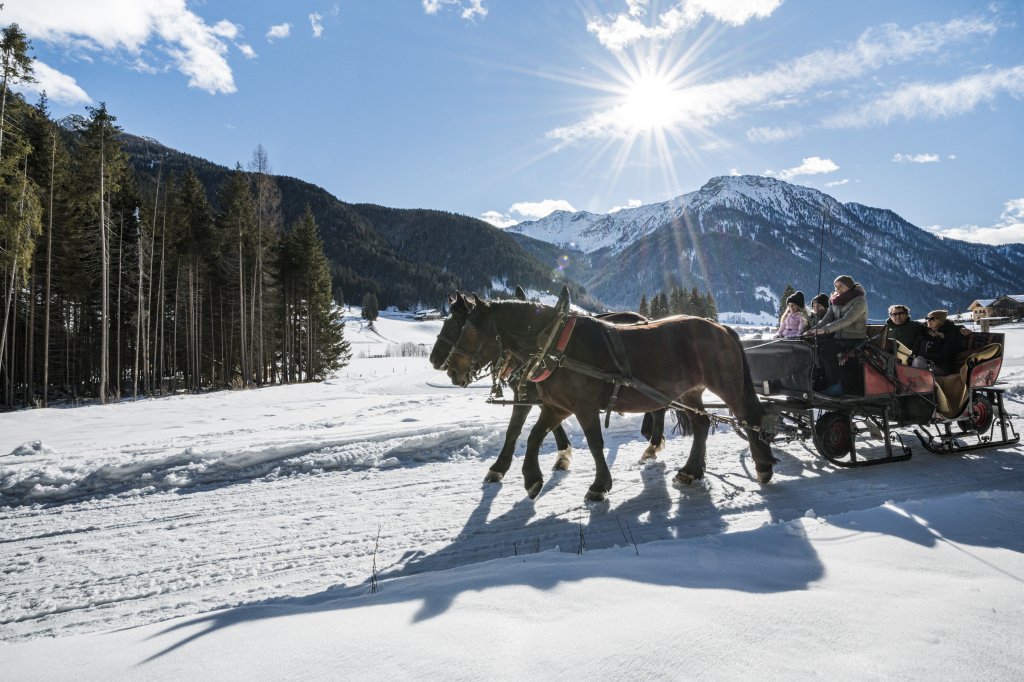 Horse-drawn sleigh rides in the Dolomites / Montana